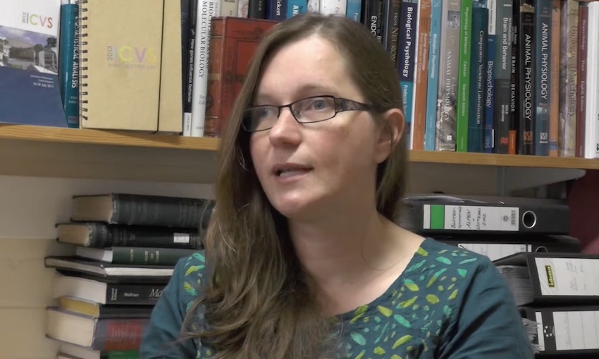 Umidade das flores atrai as abelhas | Revista Cultivar