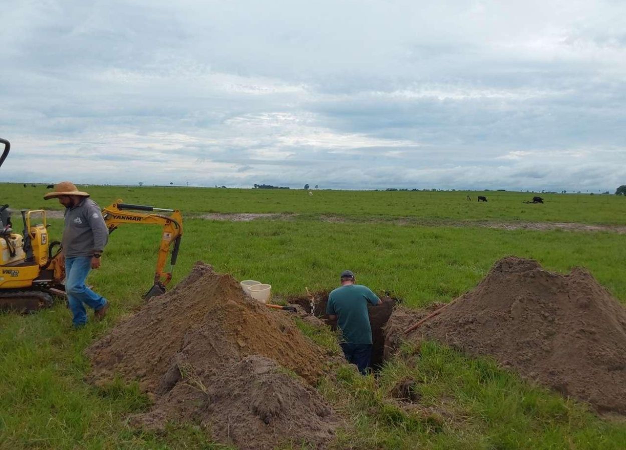 Cultivar Magazine - News and Technical Articles from the Agricultural ...