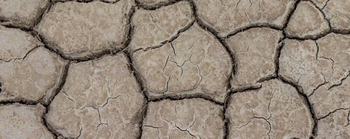 Agricultura resseca o Marrocos | Revista Cultivar