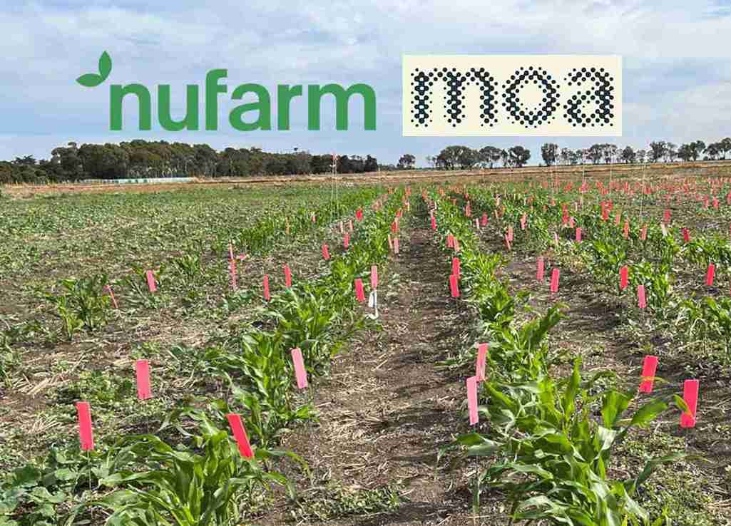 Cultivar Magazine - News and Technical Articles from the Agricultural ...
