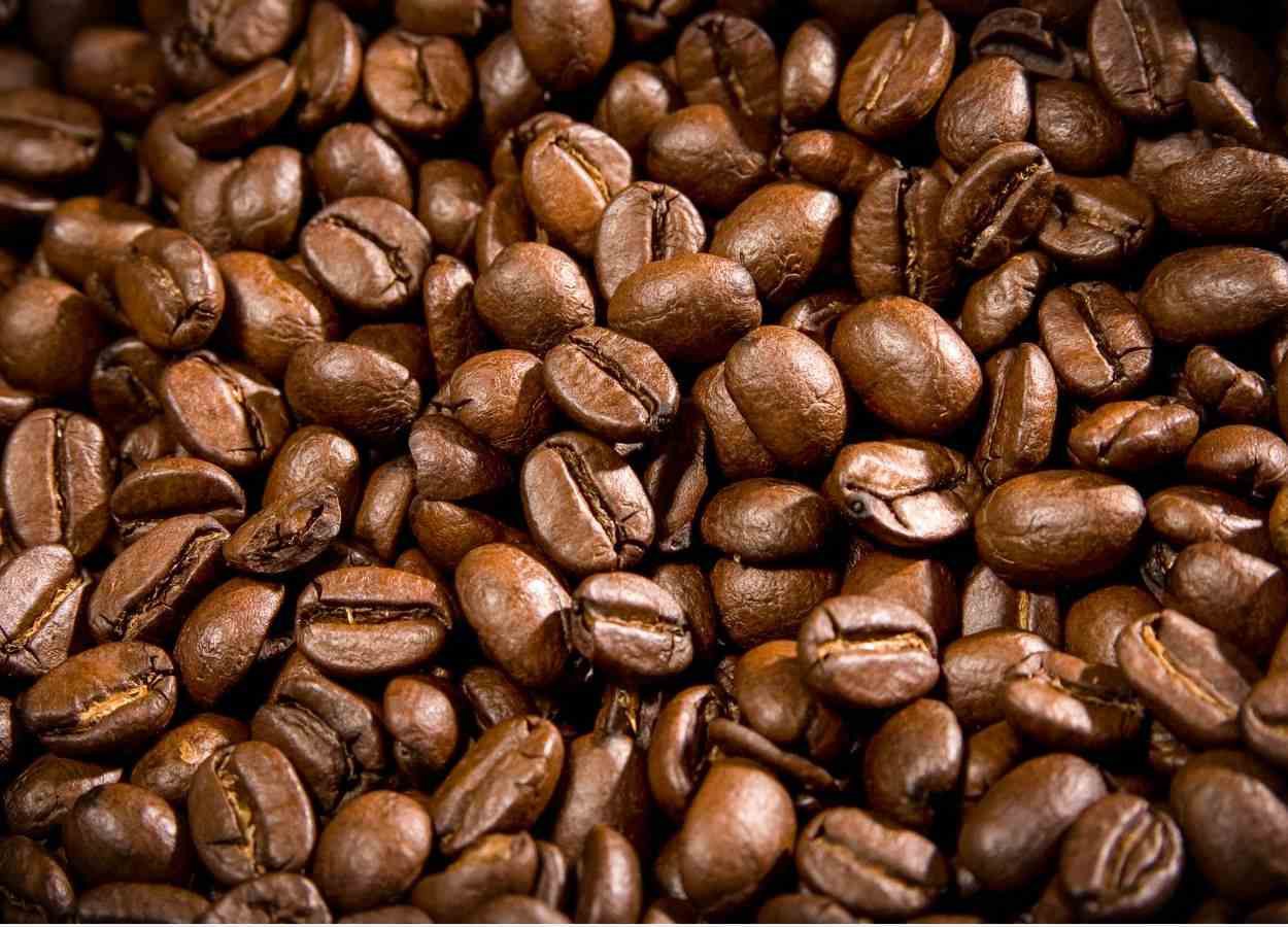 Cultivar Magazine - News and Technical Articles from the Agricultural ...